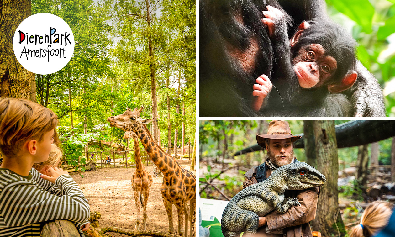 DierenPark Amersfoort, Entree voor DierenPark Amersfoort bespaar 28% in ...