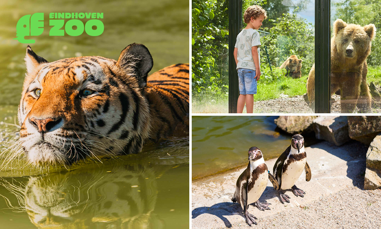 Eindhoven Zoo, Gehele dag entree tot Eindhoven Zoo (voorheen Dierenrijk ...