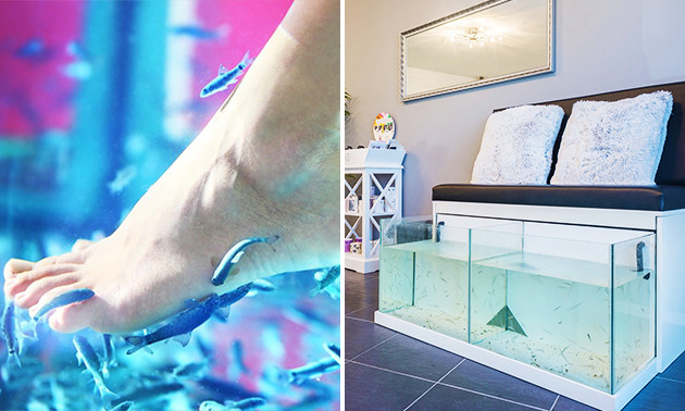 Fish Spa Happy Feet, Fish foot spa (30 min) bespaar 50% in Eindhoven ...