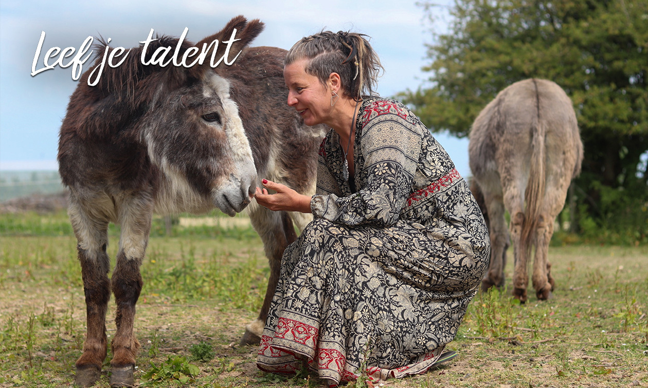 Leef je Talent, Workshop pentalogie en numerologie (2 uur) bespaar 65% ...