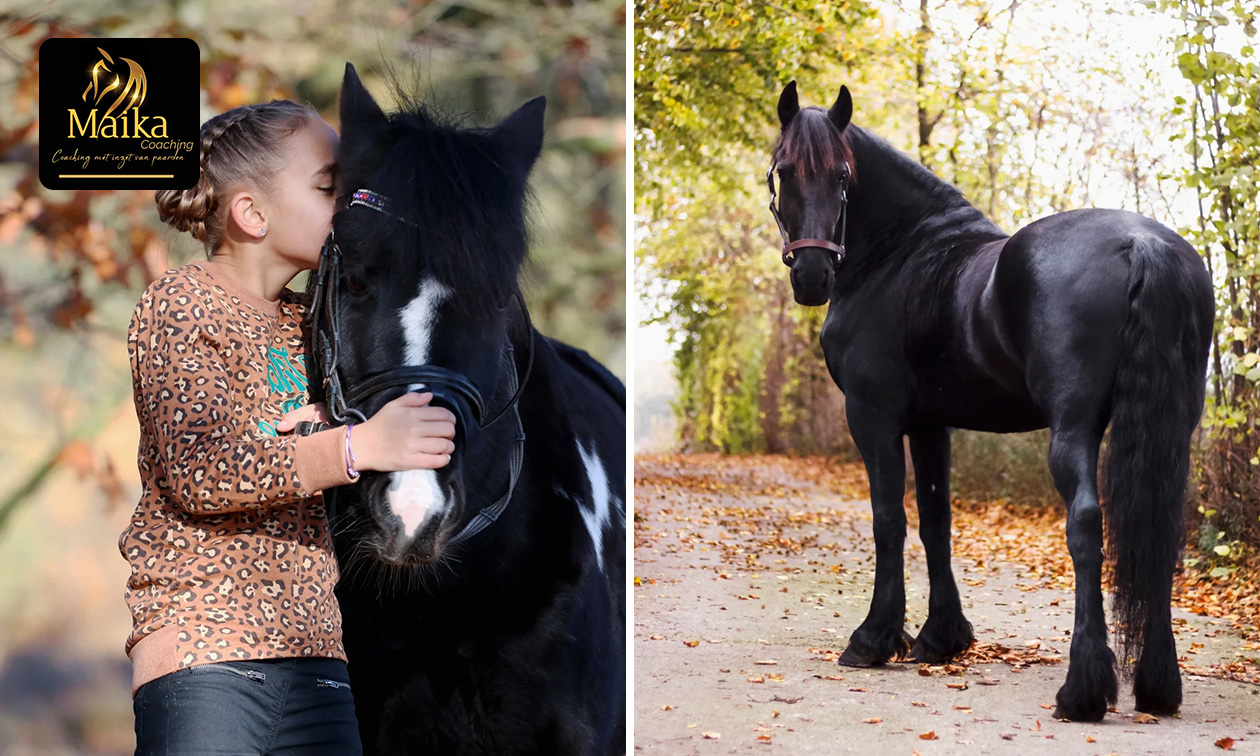 Maika Coaching, 1 of 3 sessie(s) paardencoaching (60 min) bespaar 66% in Eindhoven via Social Deal