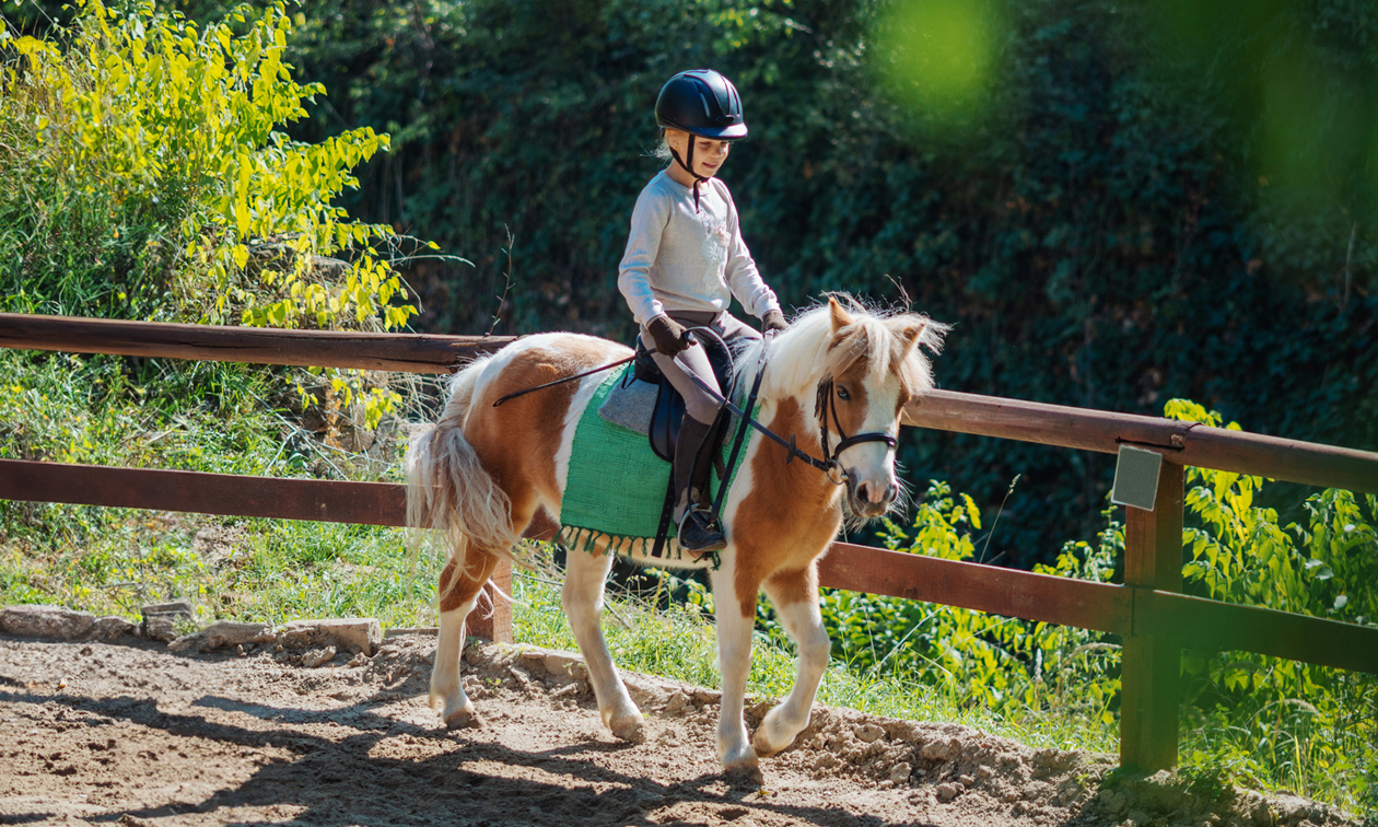 Les Poneys de Virgi, 1 of 10 ponyrijlessen voor kinderen (3 tot 12 jaar ...
