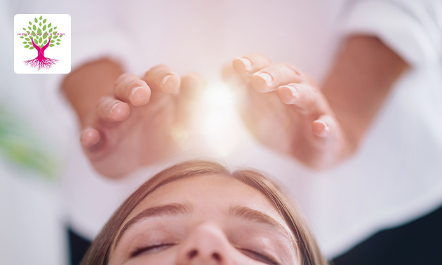 Spiritueel coach Nienke van den Boom, Energetische healing (60 of 90 ...